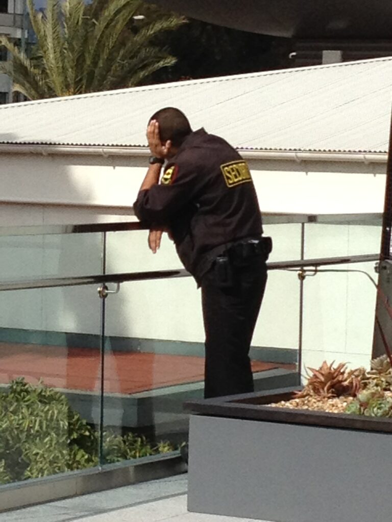 Rent-A-Cops - Security Los Angeles - AEGIS Security & Investigations