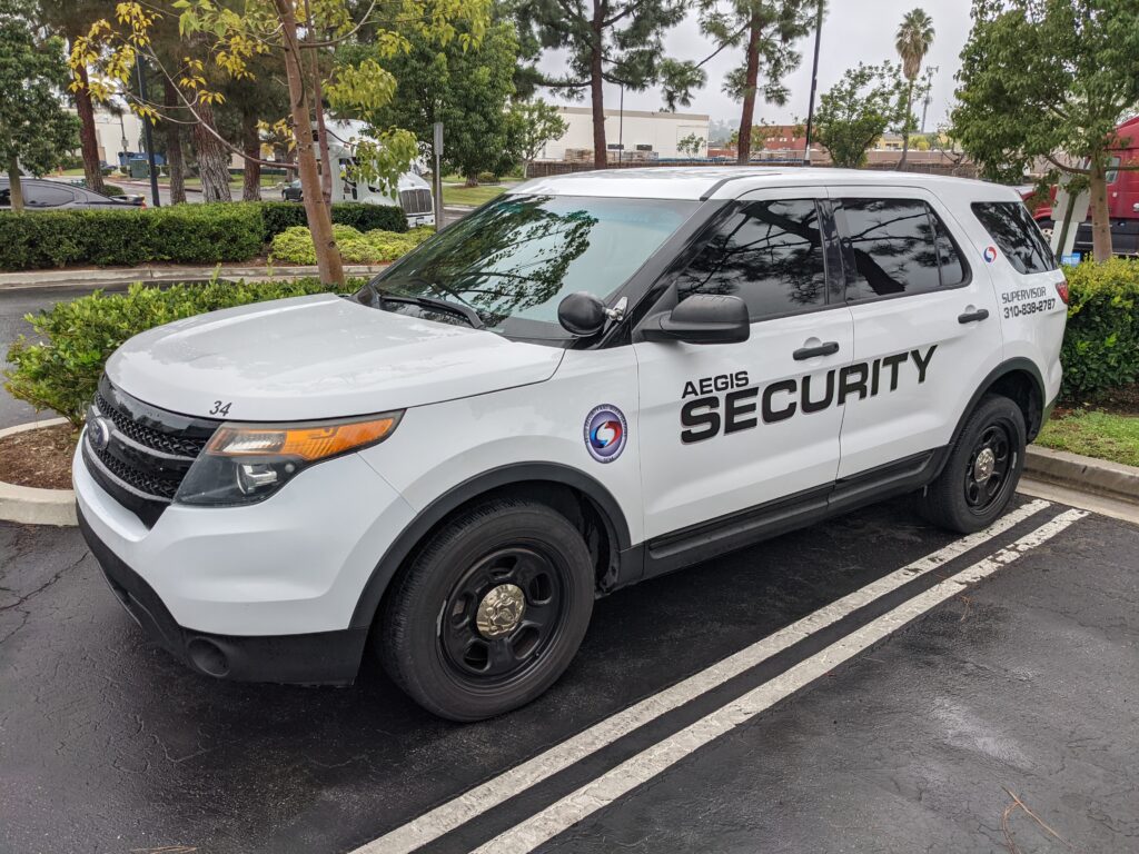 AEGIS - Experts In Security, Investigations, Training And Consulting