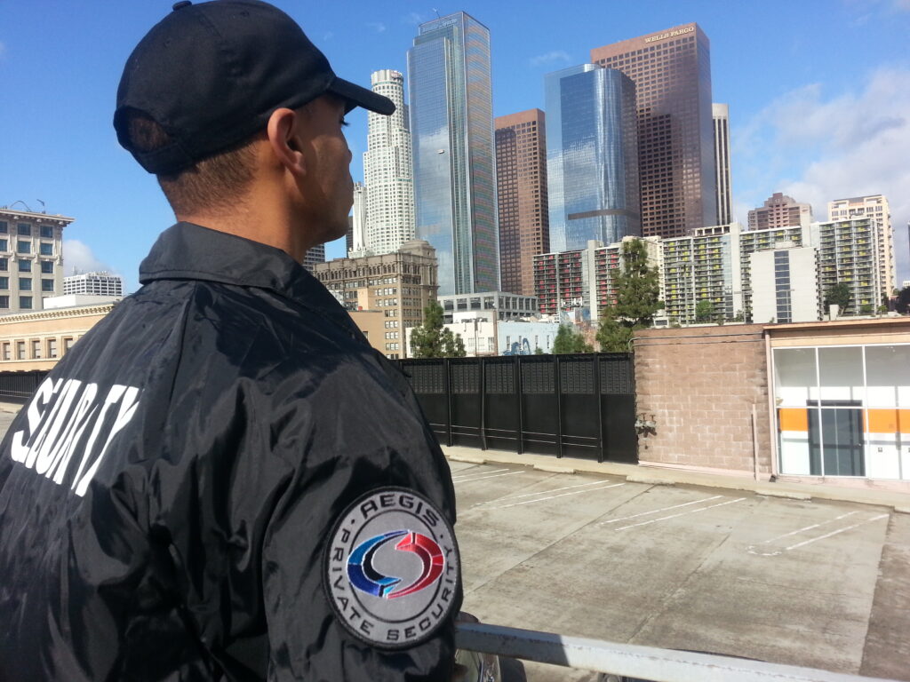 Securitas, AUS, And Guarda Vs AEGIS Security & Investigations: The Benefits Of Contracting ...